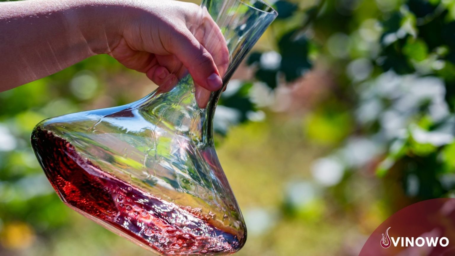 Wein selber machen: einfache Schritt-für-Schritt Anleitung - VINOWO